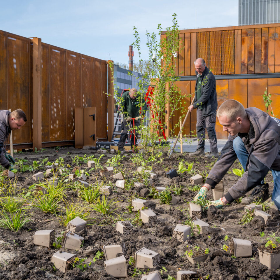 Bloemrijk graslandschap voor nieuw gebouw TU Delft | Verheij Integrale ...