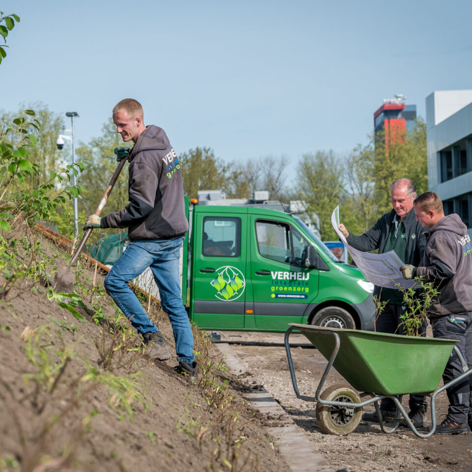 Bloemrijk graslandschap voor nieuw gebouw TU Delft | Verheij Integrale ...