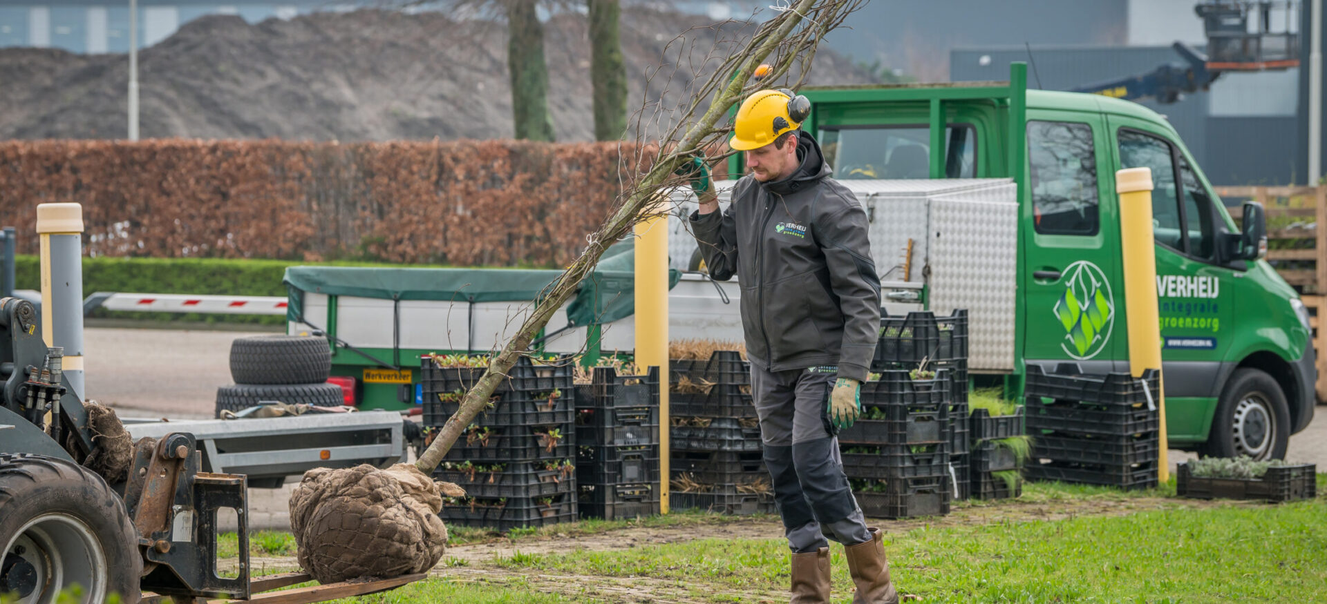 Verheij behaalt ErBo certificaat en hercertificeringen | Verheij Integrale groenzorg